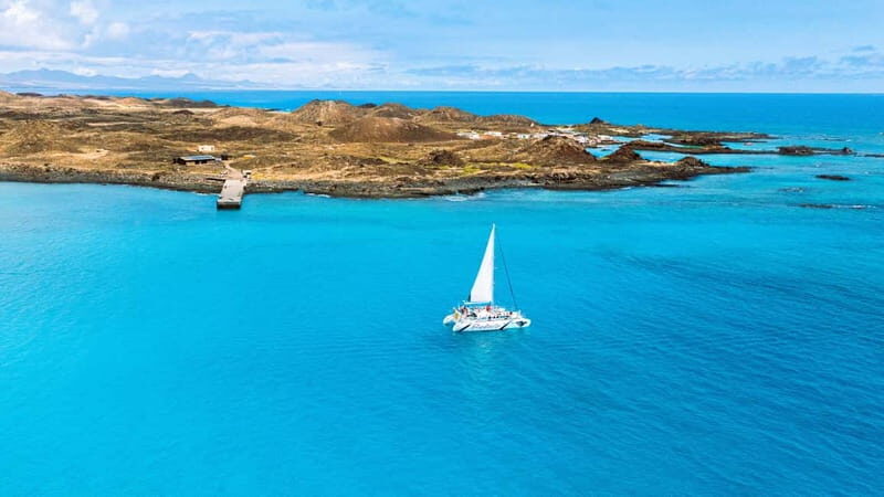 Lobos Island: 4-Hour Catamaran Trip with Lunch - Why Choose the Lobos Island Catamaran Trip?