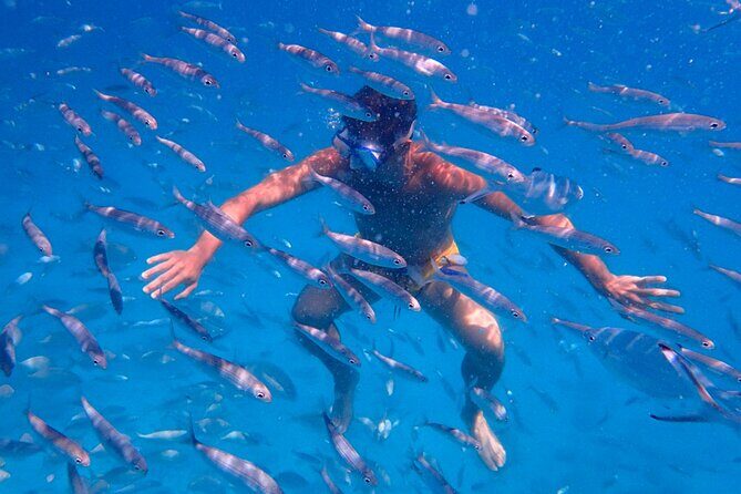 Lobos Island Ferry with Snorkel from Corralejo, Fuerteventura - An In-Depth Look at the Lobos Island Ferry Experience
