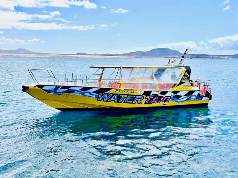 Lobos,Dunes,Popcorn Beach: small 8 persons group with guide! - A Detailed Look at What You Can Expect