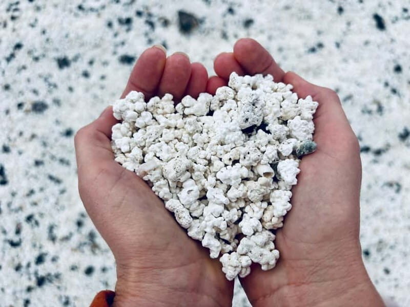 Lobos,Dunes,Popcorn Beach: small 8 persons group with guide! - Who Would Love This Tour?