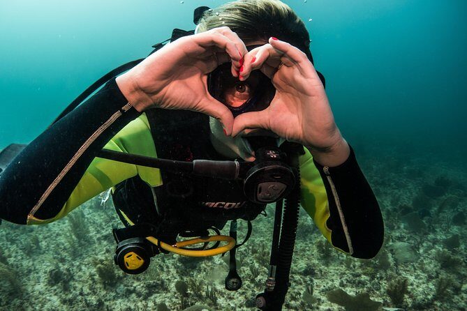 Local Dive in Playa del Carmen - What Makes This Dive Tour Stand Out