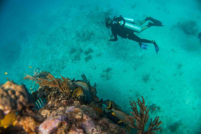 Local Dive in Playa del Carmen - Practical Details & Tips
