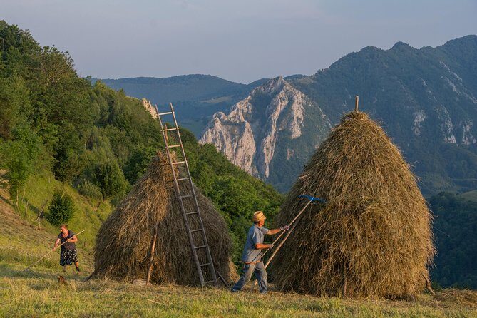 Local experience from Brasov - Transylvanian villages and Bran Castle - Key Points