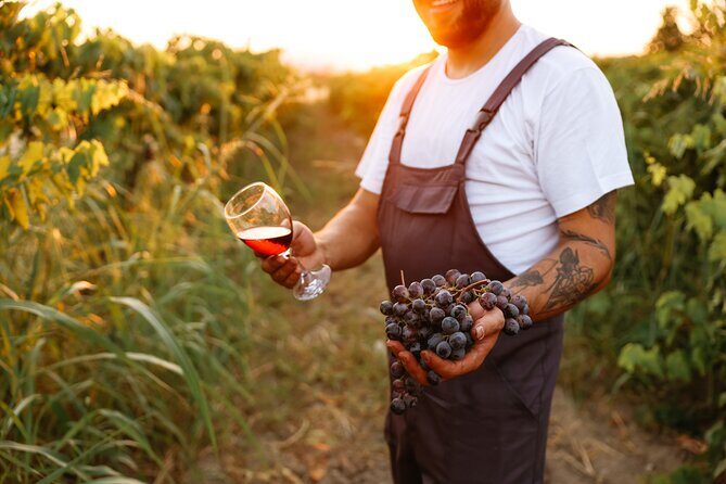 Local Wine Tasting , Grasse perfumerie , and Provençal villages - Key Points