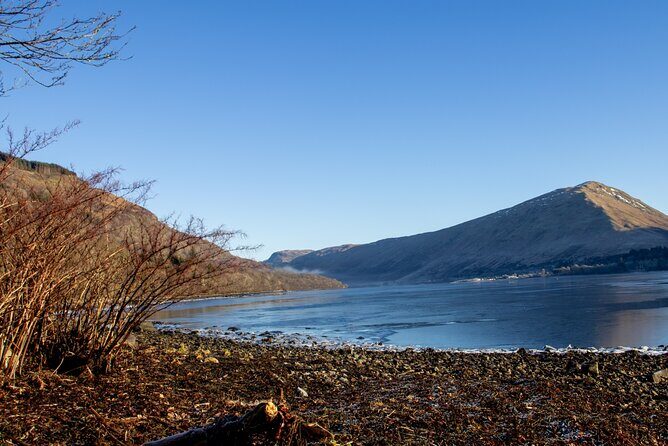 Loch Lomond, Highland Cows, Victorian Town, Castle Half-Day Tour - FAQ