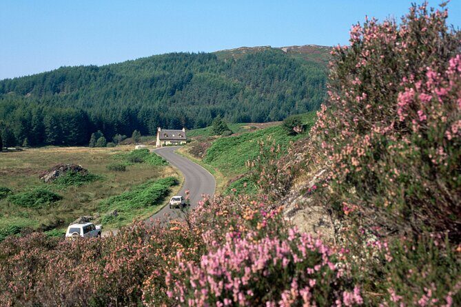 Loch Lomond National Park & Stirling Castle Full Day Tour - Key Points