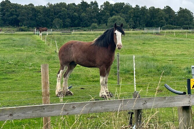 Loch Ness, Cawdor Castle, Outlander Sites & More from Inverness - The Sum Up