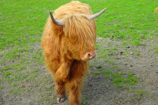 Loch Ness & Culloden Battlefield Private Tour from Inverness - Practical Considerations