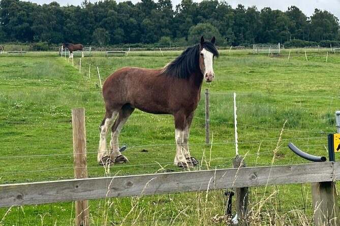 Loch Ness Tour: Day Trip to Loch Ness, Outlander Sites and More - FAQs