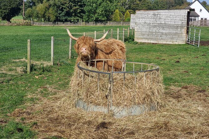 Lochness and Inverness day Tour - FAQs