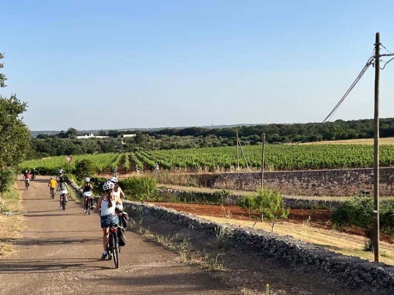 Locorotondo: Guided e-bike tour to Alberobello + gelato - Key Points