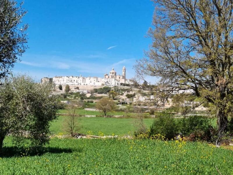Locorotondo: Guided e-bike tour to Alberobello + gelato - Who Should Consider This Tour