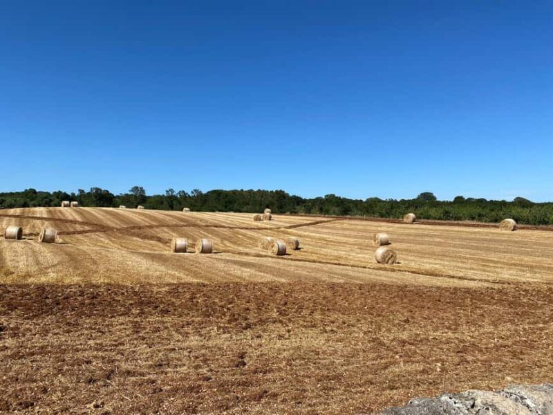 Locorotondo: Guided e-bike tour to Alberobello + gelato - FAQ