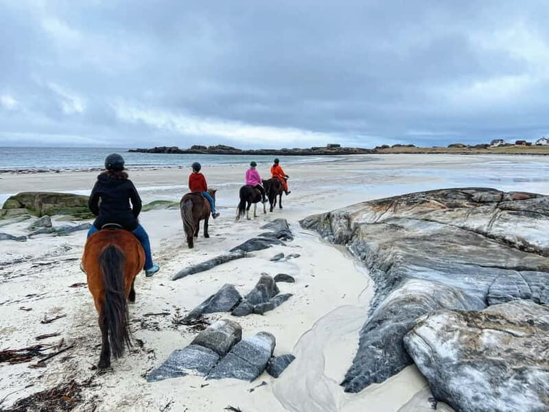 Lofoten: Guided Horse Riding Tour Over Hov and Hovsund - Exploring Viking Roots and Traditional Fish-Drying Racks