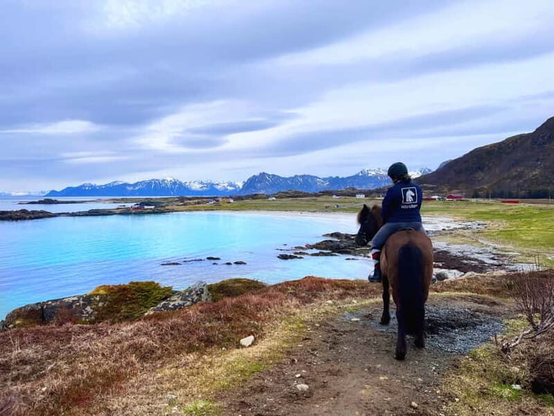 Lofoten: Guided Horse Riding Tour Over Hov and Hovsund - Authentic, Friendly Guides and Well-Behaved Horses