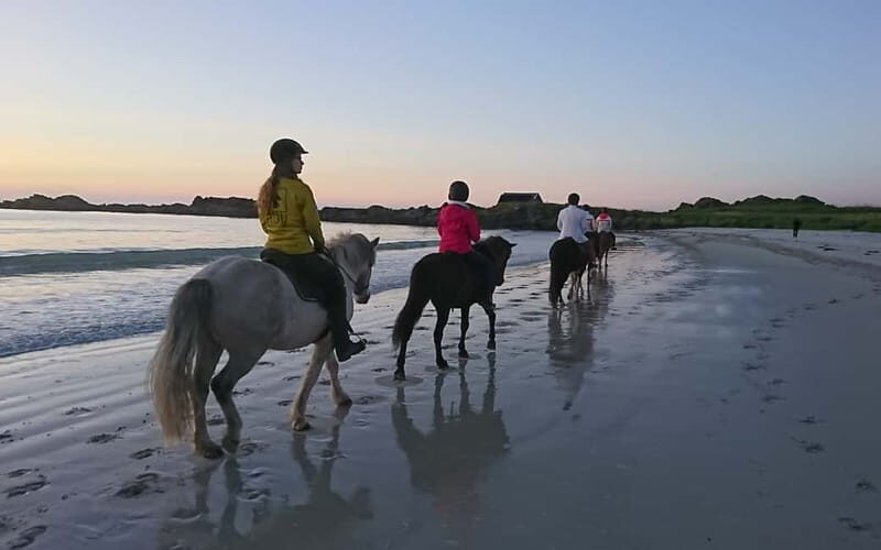 Lofoten: Guided Horse Riding Tour Over Hov and Hovsund - Final Thoughts