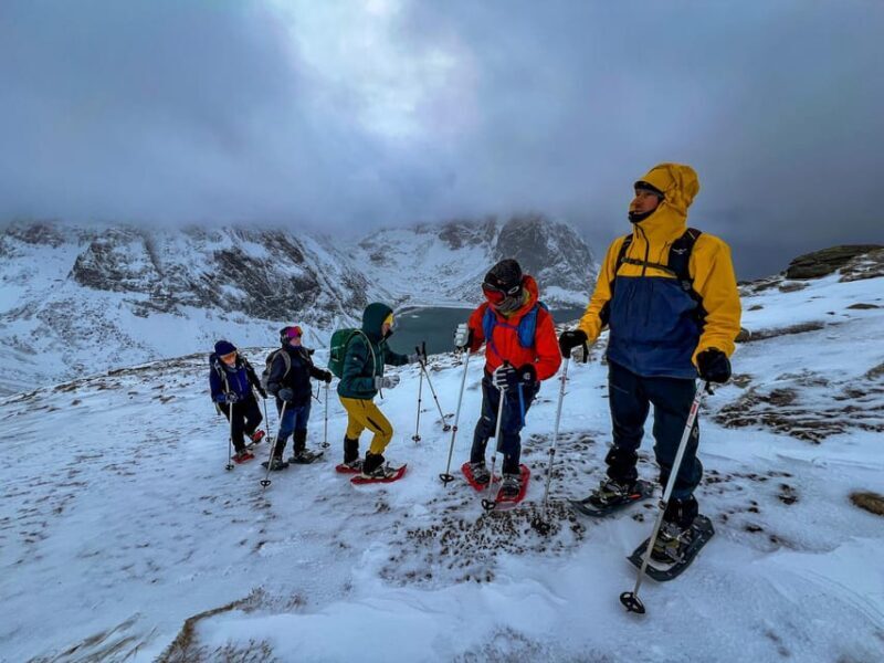 Lofoten: Half Day Snowshoe Tour - What You Can Expect on the Lofoten Snowshoe Tour