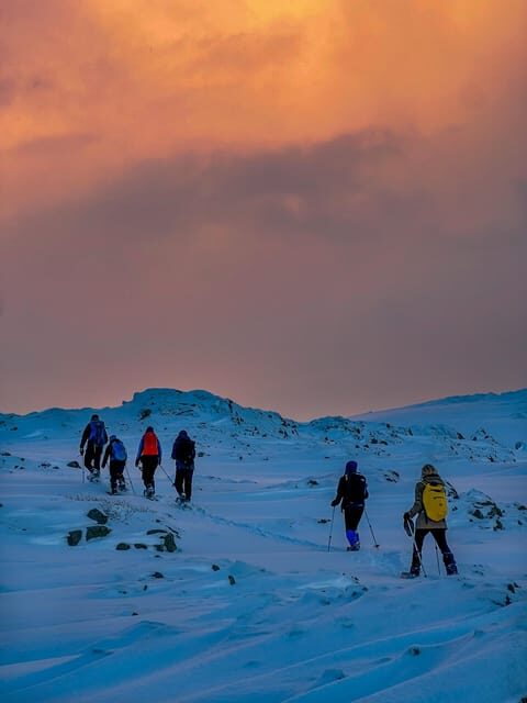 Lofoten: Half Day Snowshoe Tour - The Value of the Experience