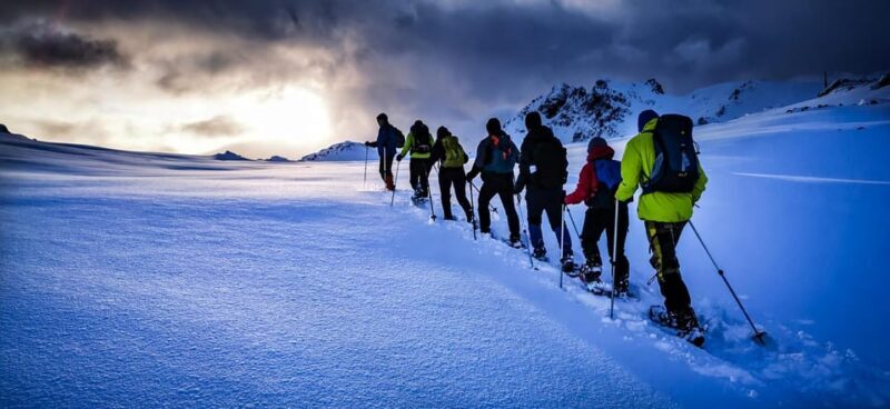 Lofoten: Half Day Snowshoe Tour - Final Thoughts: Who Will Love This Tour?