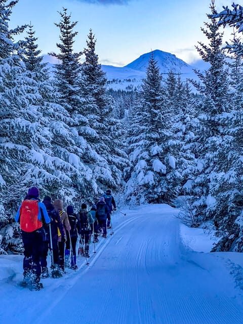 Lofoten: Half Day Snowshoe Tour - FAQs