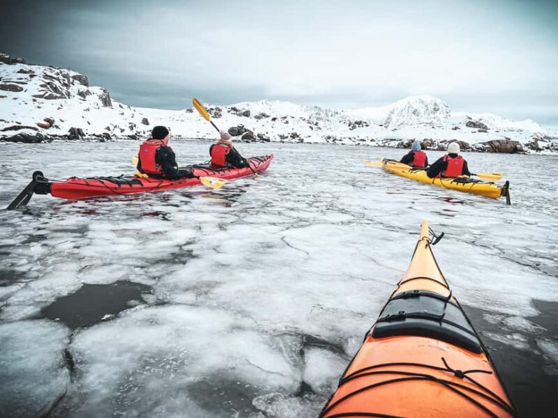 Lofoten: Half-Day Winter Kayak Adventure - Key Points