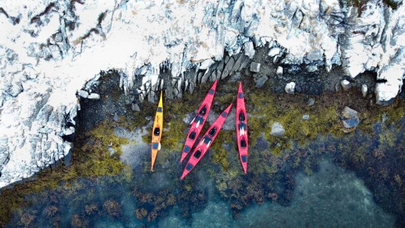 Lofoten: Half-Day Winter Kayak Adventure - Who Should Consider This Tour?