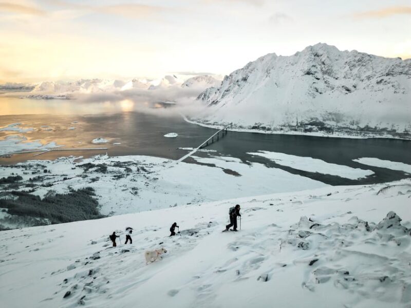Lofoten Islands: Guided Snowshoeing Tour - Uphill version - What’s Included and What to Bring