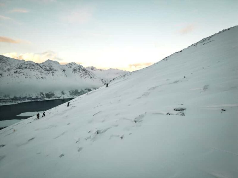Lofoten Islands: Guided Snowshoeing Tour - Uphill version - Who Should Consider This Tour?
