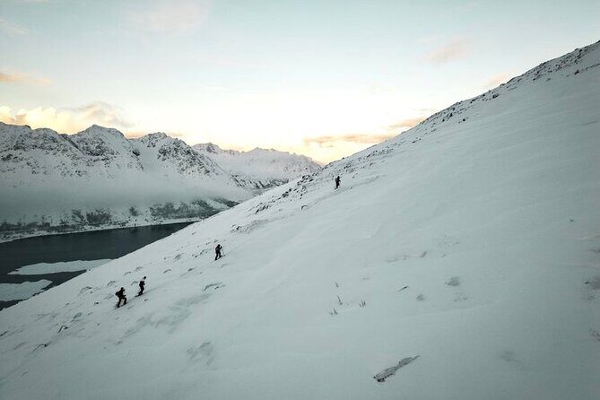 Lofoten Islands: Guided Snowshoeing Tour - Uphill version - Weather, Cancellation, and Practical Considerations