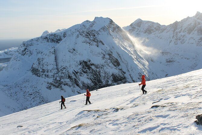 Lofoten Islands: Guided Snowshoeing Tour - Uphill version - Final Thoughts