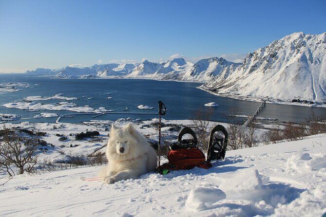 Lofoten Islands: Guided Snowshoeing Tour - Uphill version - FAQ