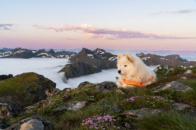 Lofoten Islands: Hiking Into the Wilderness - FAQ