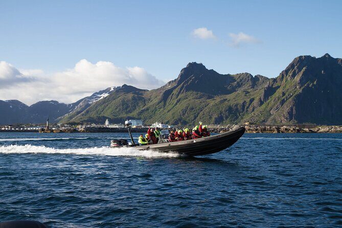 Lofoten RIB Sea Eagle Safari and Trollfjord Cruise - Key Points