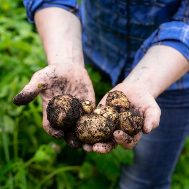 Lofoten (Stamsund and Leknes): Aimees Farm Experience - The Sum Up