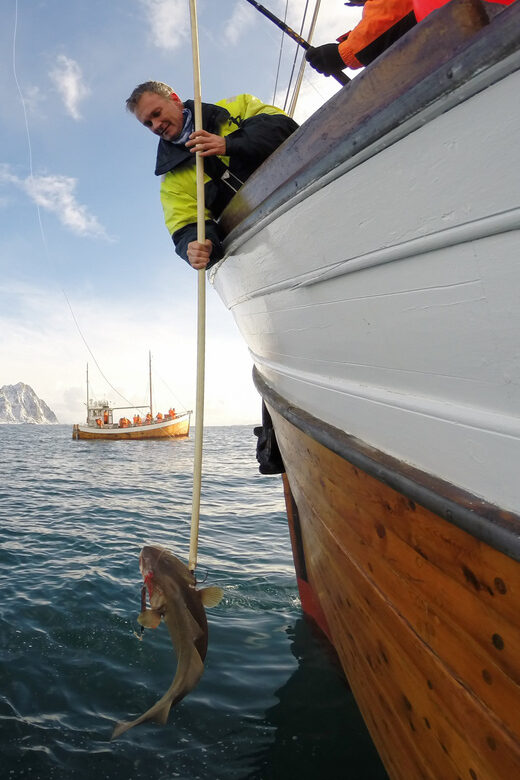 Lofoten: Traditional Fishing Trip - The Itinerary: What You Can Expect