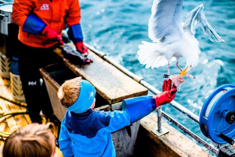 Lofoten: Traditional Fishing Trip - Authenticity Over Perfection