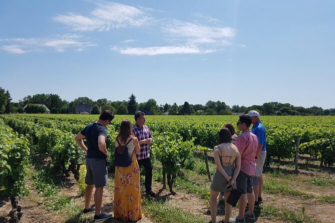 Loire Valley Half Day Wine Tour from Tours : 2 local wineries - Key Points