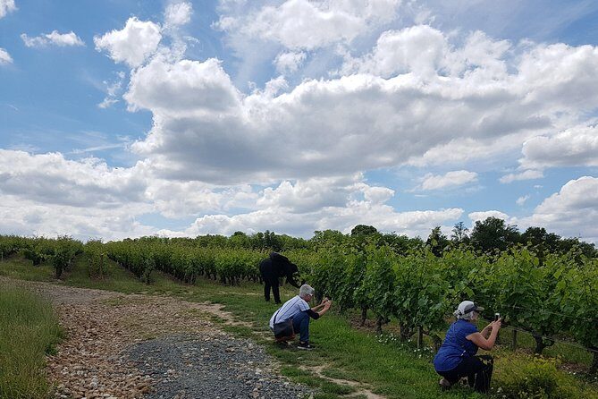 Loire Valley Half Day Wine Tour from Tours : 2 local wineries - Final Thoughts