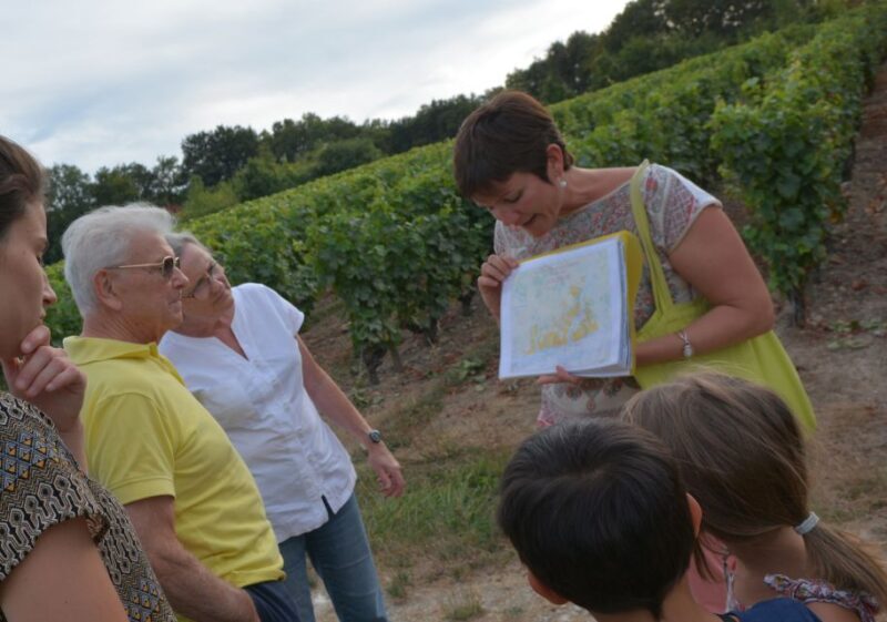 Loire Valley: Vouvray Vineyard Tour and Wine Tasting - Practical Details and Considerations