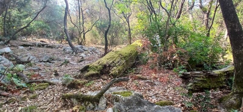 Lokrum Island Scenic Hike: History, Nature & Stories - Final Thoughts
