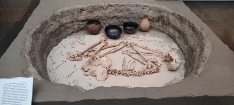 London: British Museum Private Tour for Kids & Families - What Makes This Tour Stand Out?