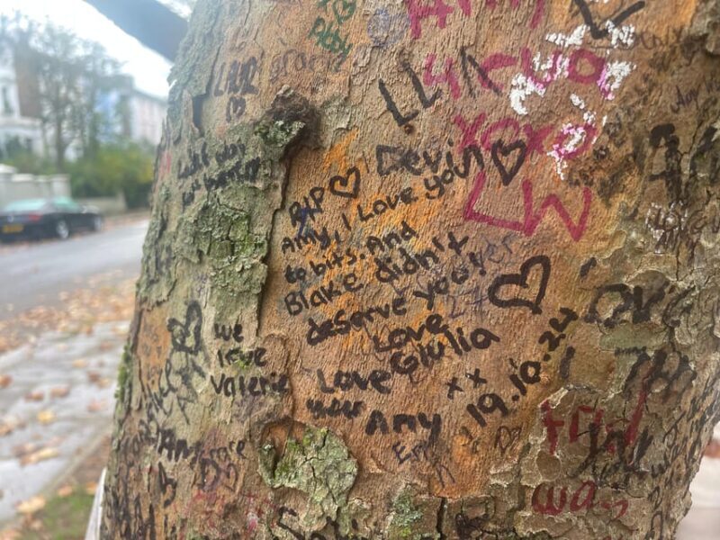 London: Camden Town Amy Winehouse Tour - Key Points