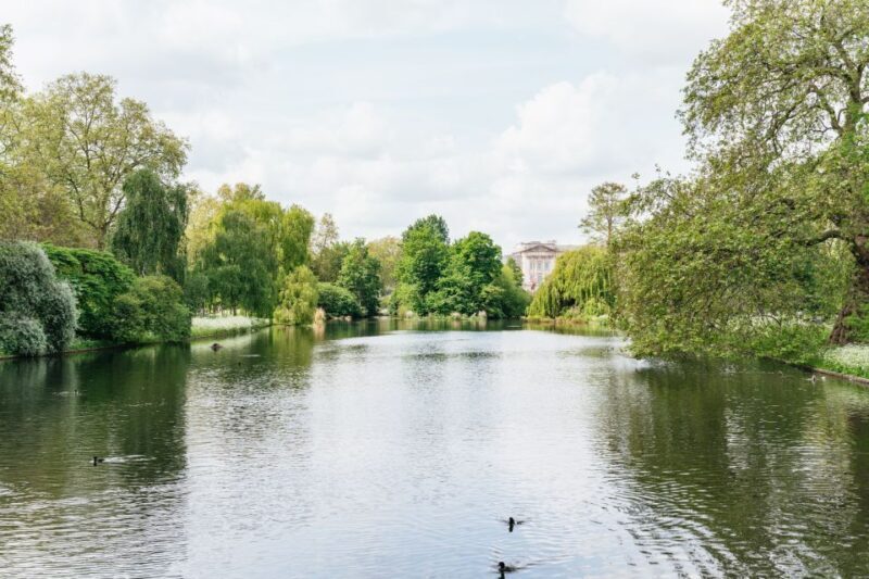 London: Changing of the Guard Tour by Buckingham Palace - What Do the Reviews Tell Us?
