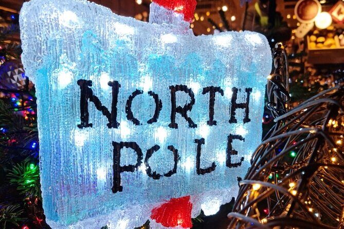 London Christmas Lights Bike Tour with Local Guide - The Sum Up