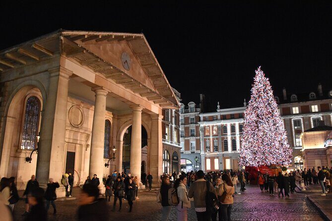 London Christmas Lights Private Walking Tour - Practical Tips for Your Tour