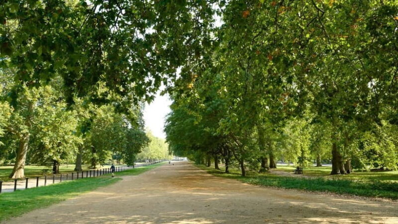 London: Discover Pass with Hop-On Hop-Off Bus, Cruise, Walks - Final Thoughts: Is It Worth It?