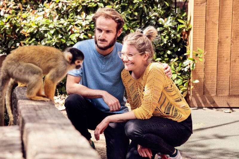 London: Go City Explorer Pass® - Tickets for 2-7 Attractions - The Experience on the Ground