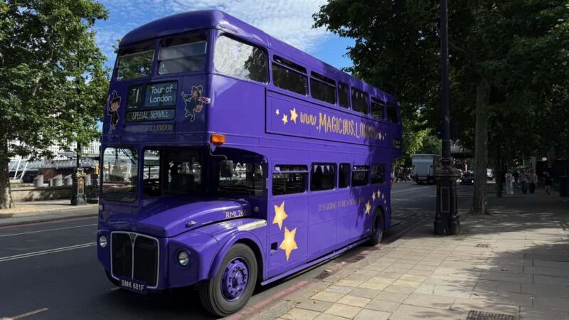 London: Guided Harry Potter Bus Tour of Locations - Key Points