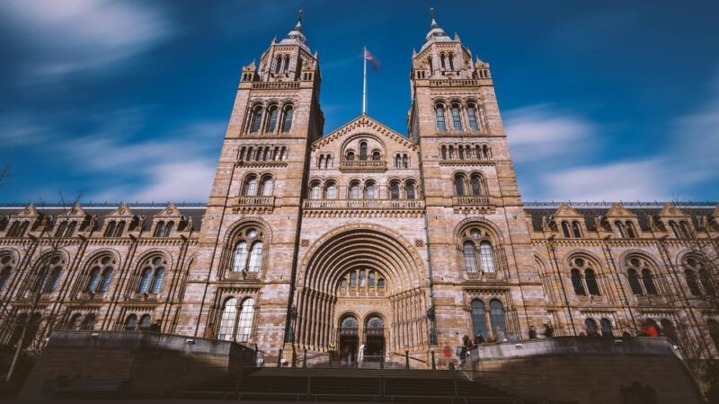 London: Guided Tour of the Natural History Museum - London: Guided Tour of the Natural History Museum — An Honest Look