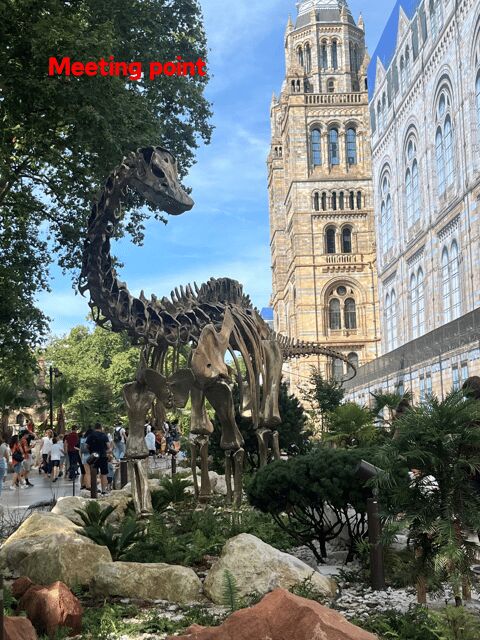 London: Guided Tour of the Natural History Museum - Final Thoughts: Who Should Consider This Tour?